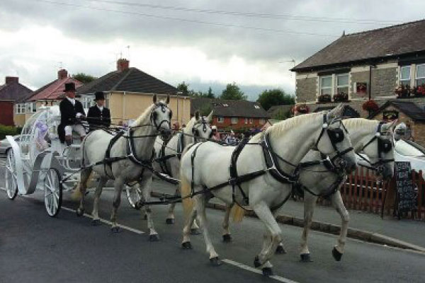 Pay Now Kilvey Carriages pay-now-kilvey-carriages